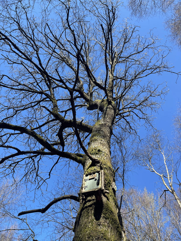 Spring Colours - which shades should you welcome in this season ...