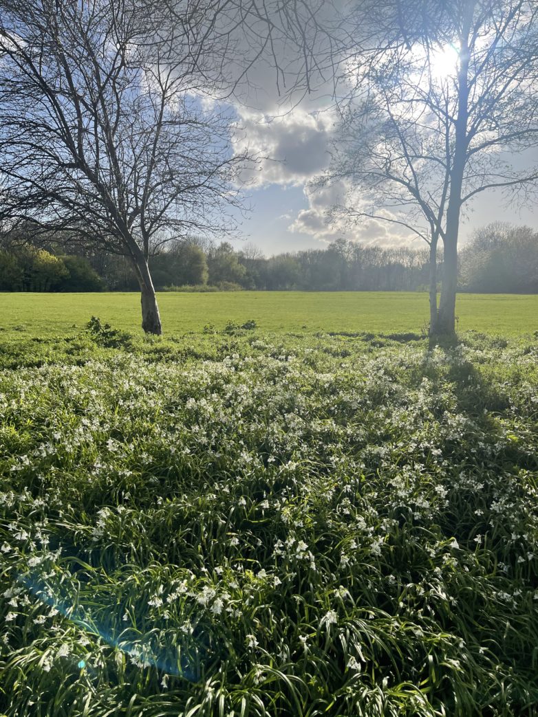 Spring Colours - which shades should you welcome in this season ...