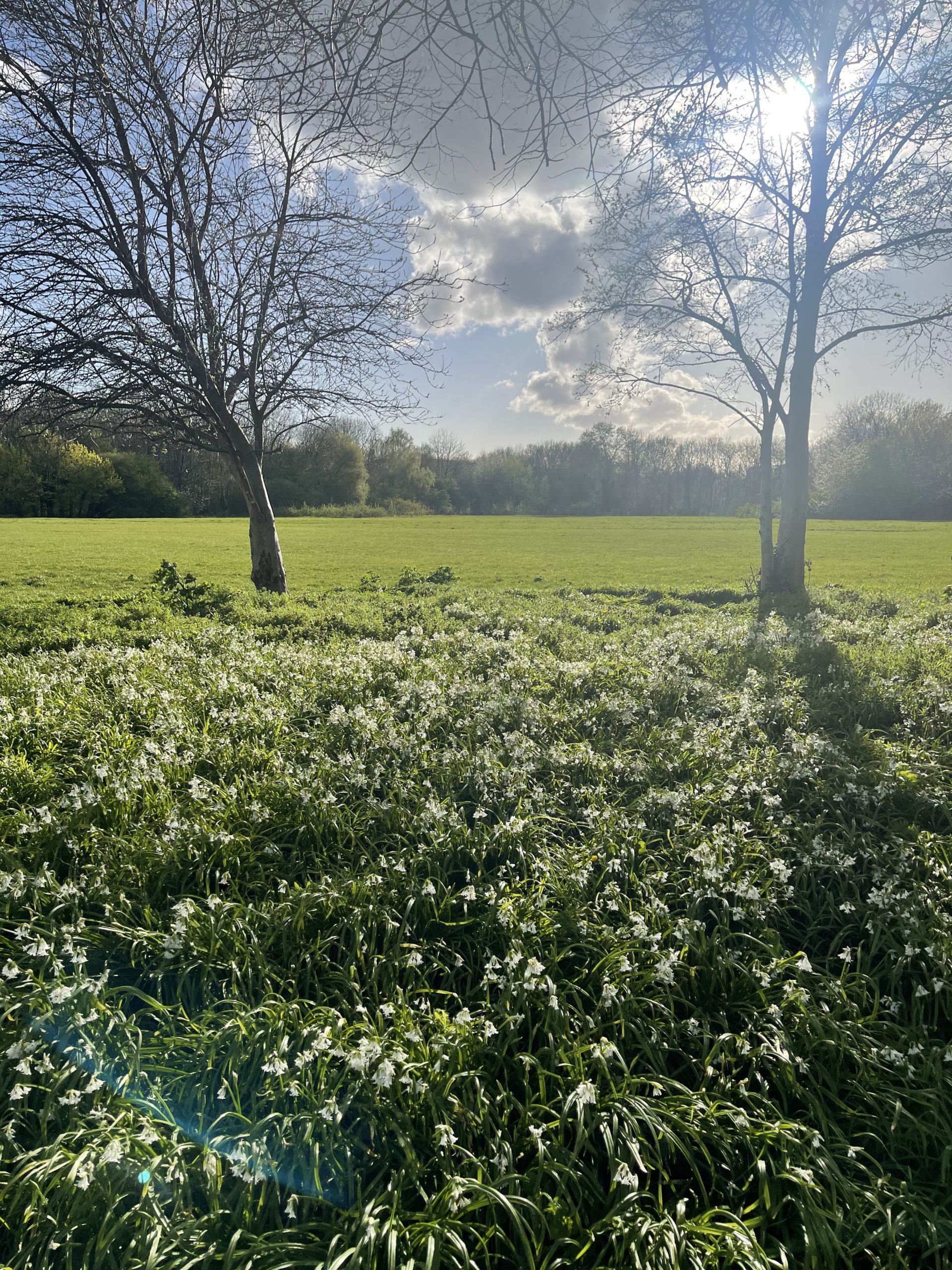 Spring Colours - which shades should you welcome in this season ...