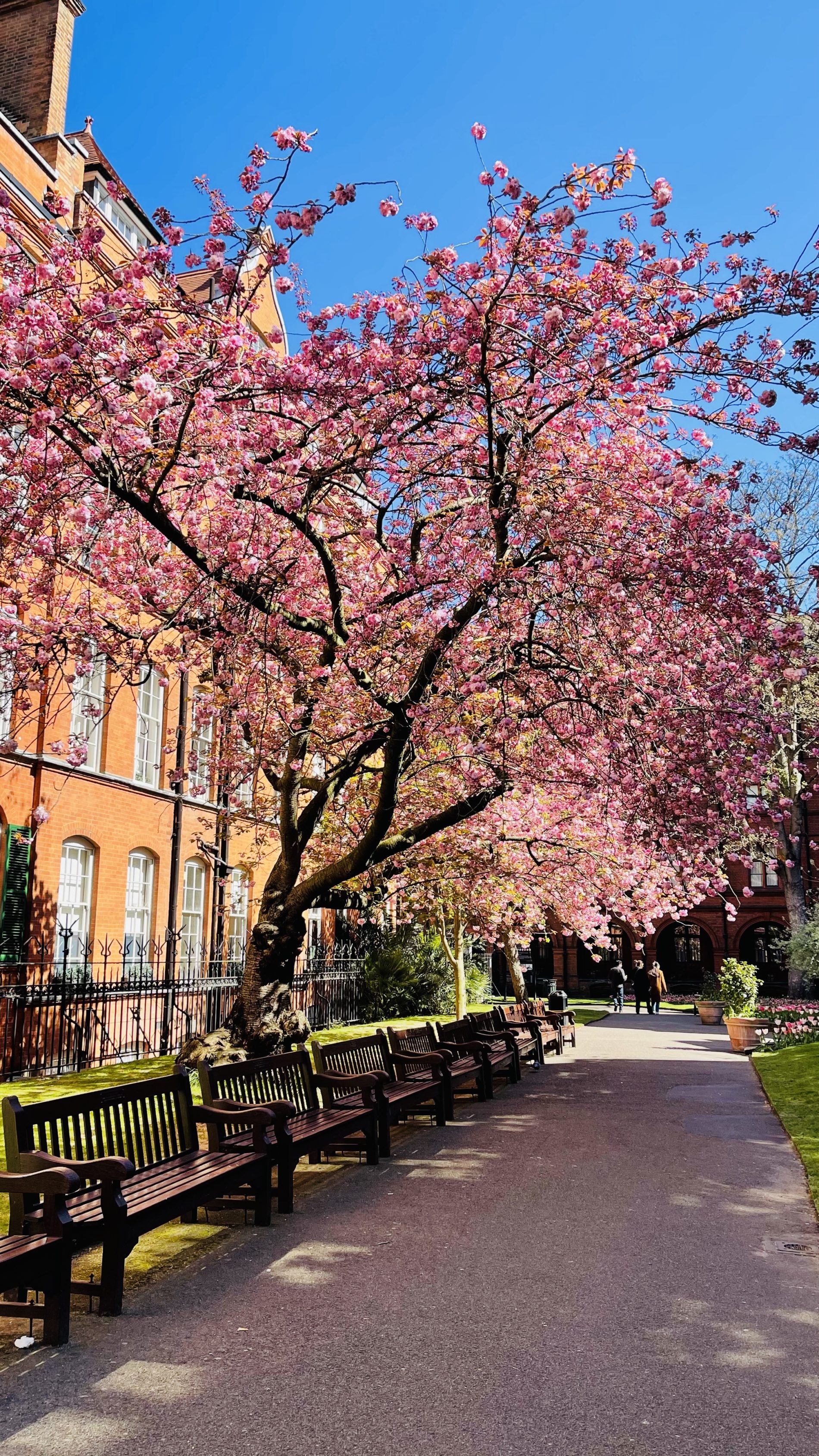 Spring Colours - which shades should you welcome in this season ...