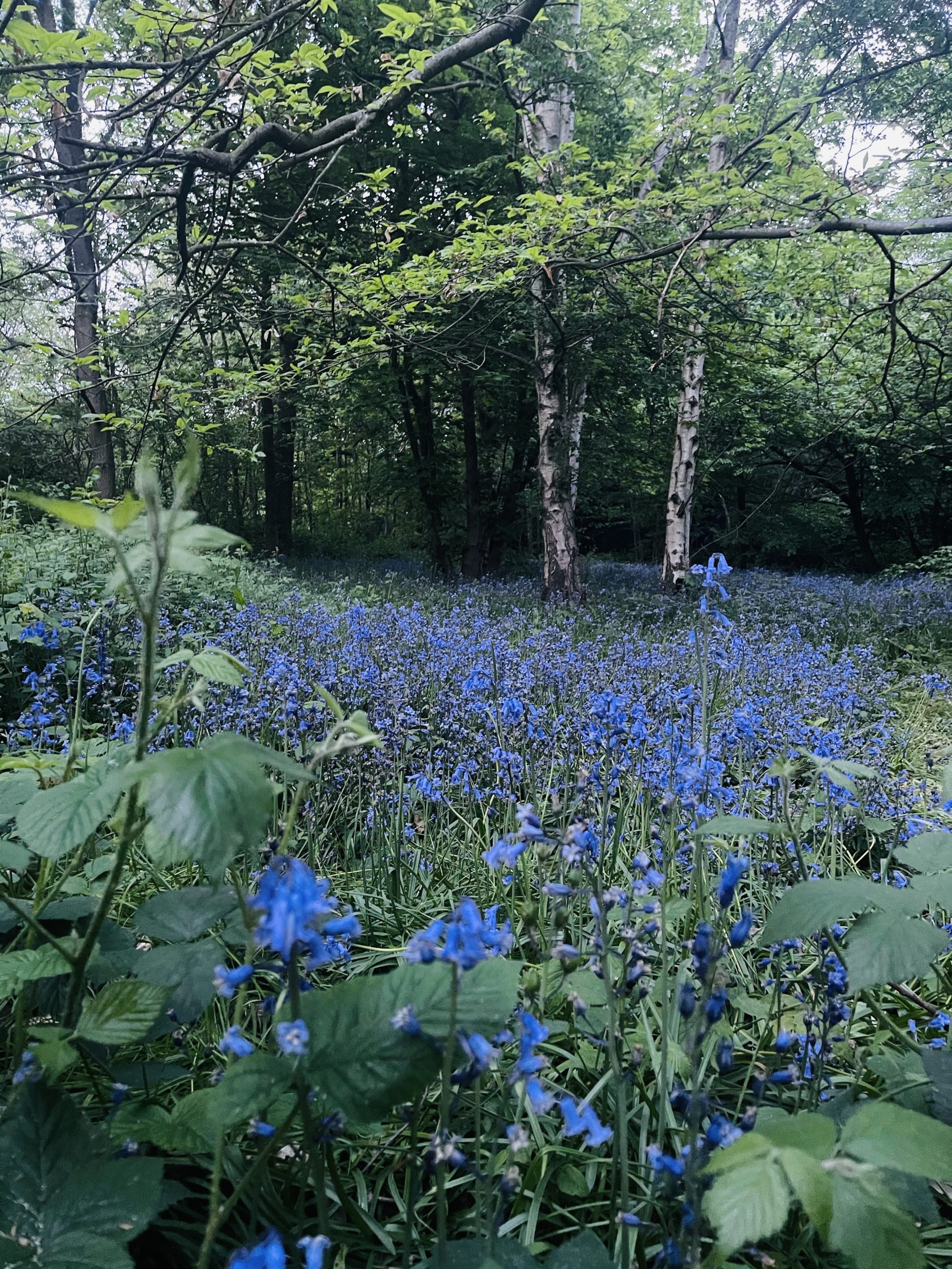 Spring Colours - which shades should you welcome in this season ...