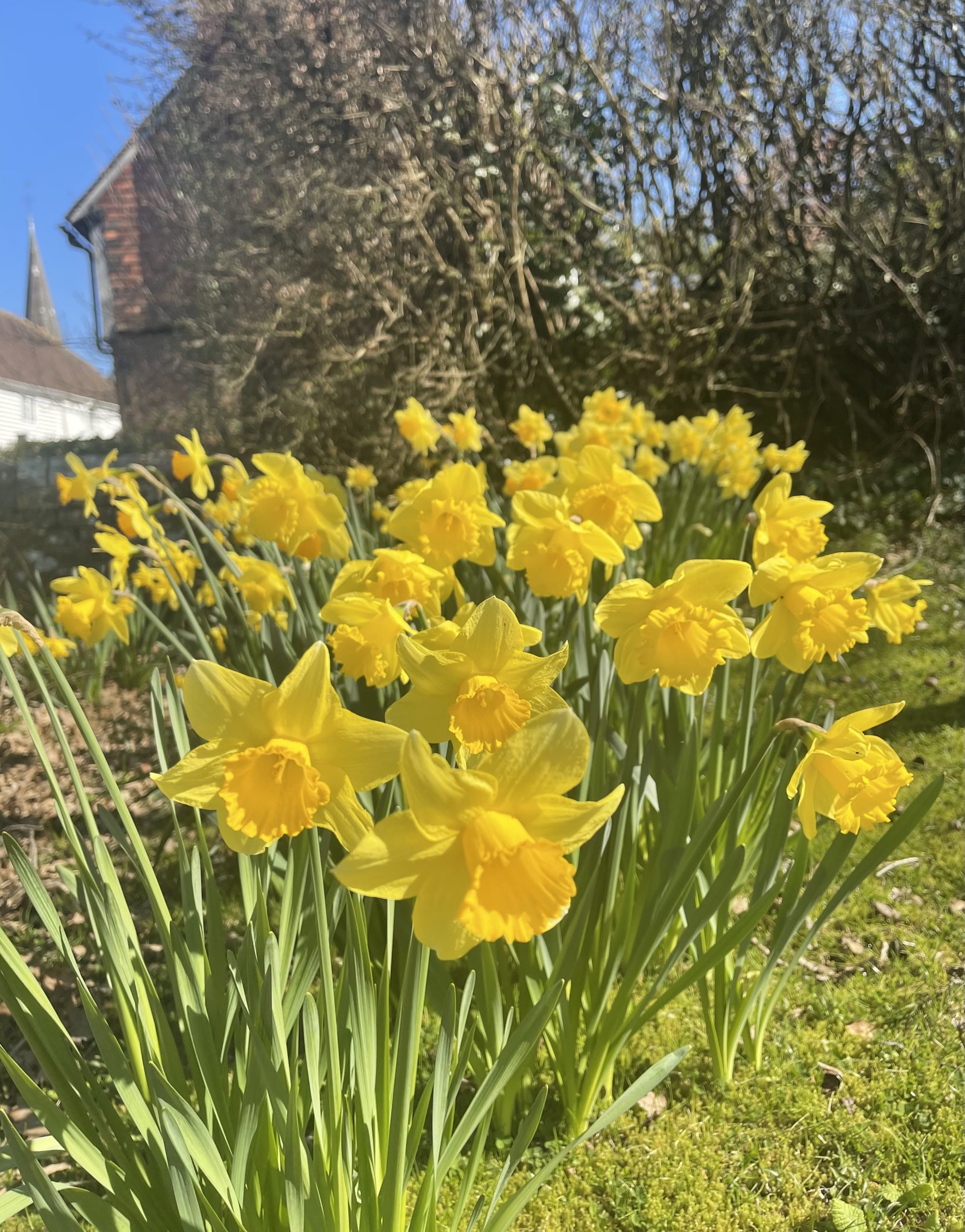 Spring Colours - which shades should you welcome in this season ...